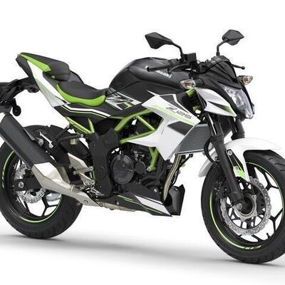 Kawasaki Z 125, catalogo e listino prezzi - Moto.it