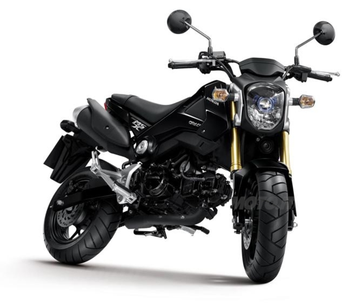 Nuova Honda MSX125. Arriva in Italia la moderna Monkey! - News - Moto.it