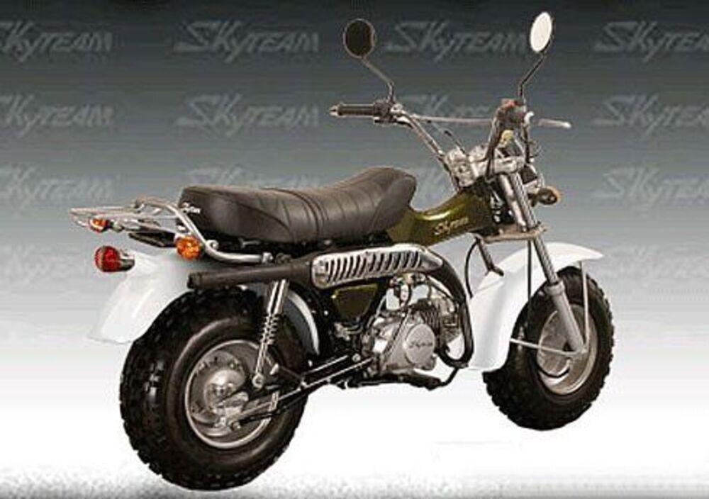 Sky Team T-Rex ST50-11, prezzo e scheda tecnica - Moto.it